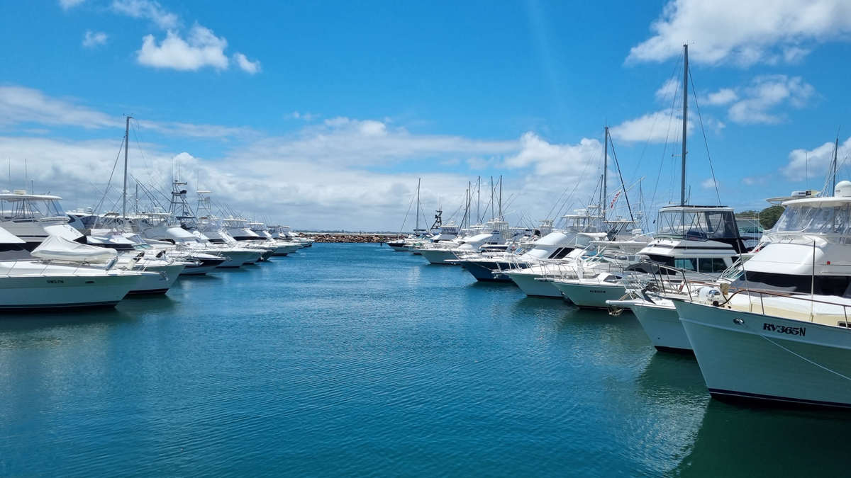 Integrated Marine - System Solutions through Innovative Engineering